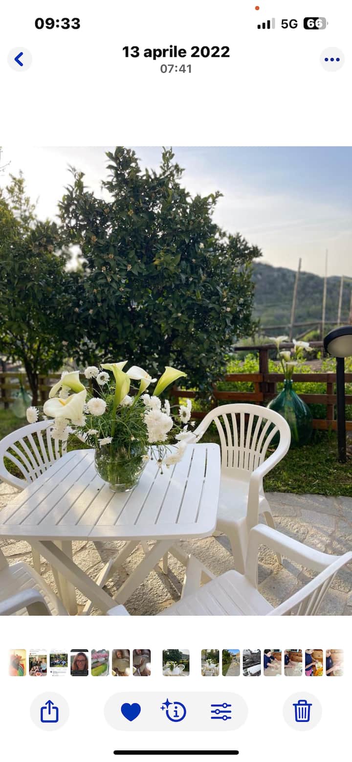 Comodo, Silenzioso Funzionale, Accessoriata - Spotorno