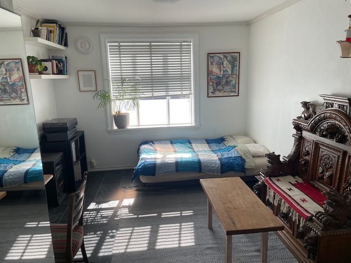 Appartment In Reykjavík - Reikiavik