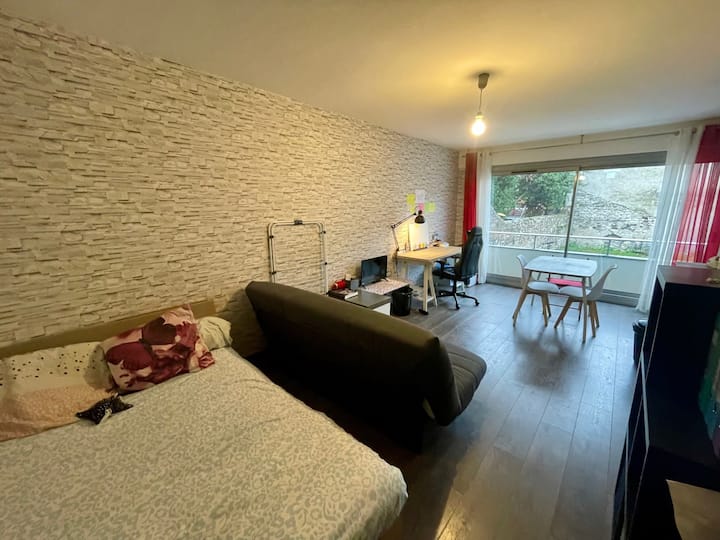 Studio à Deux Pas De L'hôpital Bretonneau - Indre-et-Loire