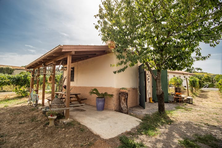 Casa In Vigna - Frascati