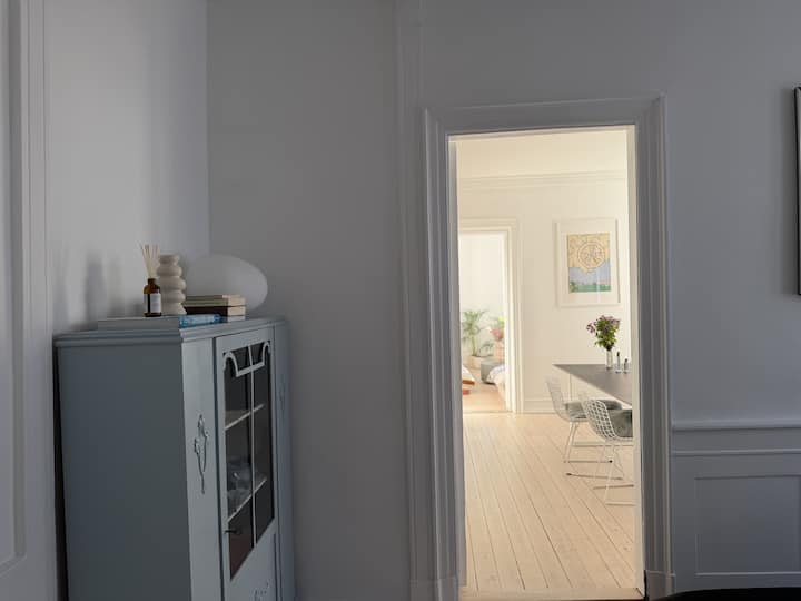 Stylish Spacious Apt  Best Central Location - Copenhagen