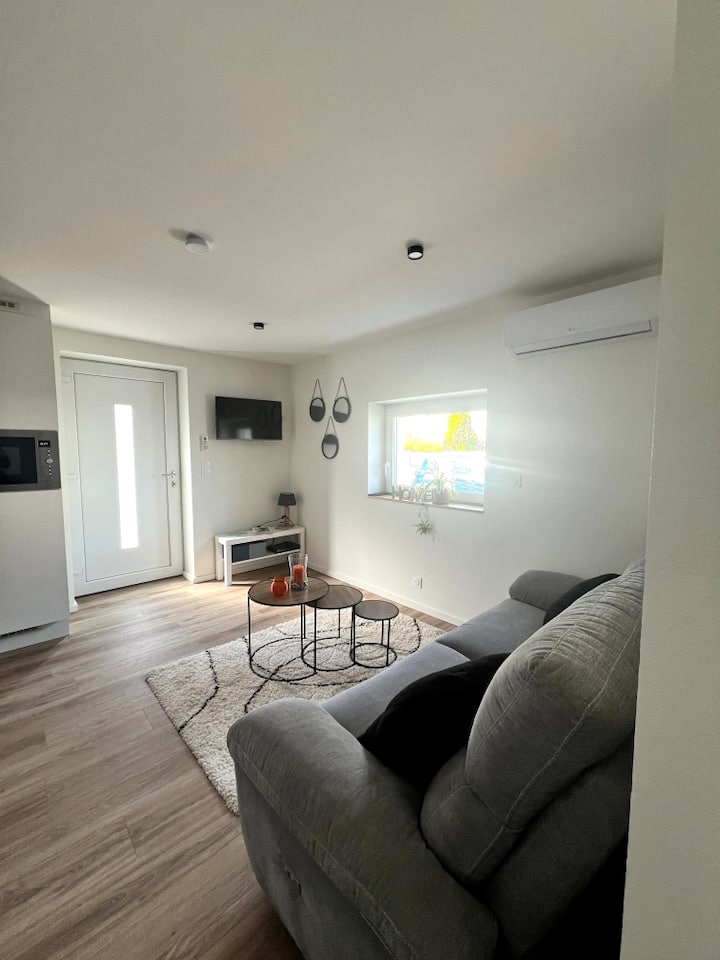 T2 Moderne & Climatisé De 30m² Tout éQuipé - Haguenau