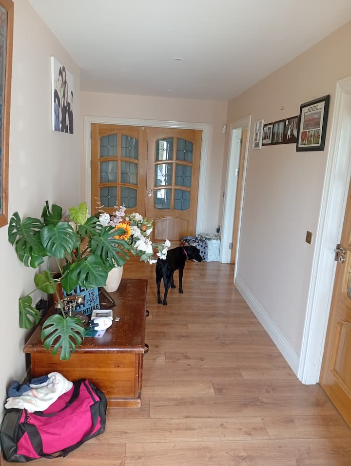 Holly Lodge - Midleton