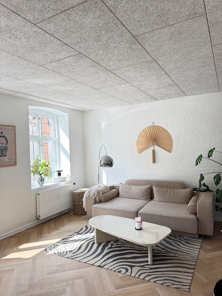 85 Kvm Lejlighed I Aarhus C Med Stor Altan - Aarhus