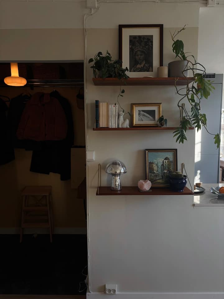 Lys Og Stilfull Leilighet På Sentrale Rosenhoff - Oslo