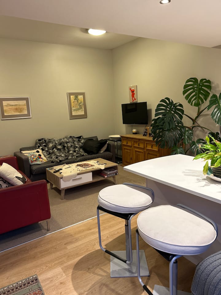 Spacious Villa Warm And Secure - Christchurch