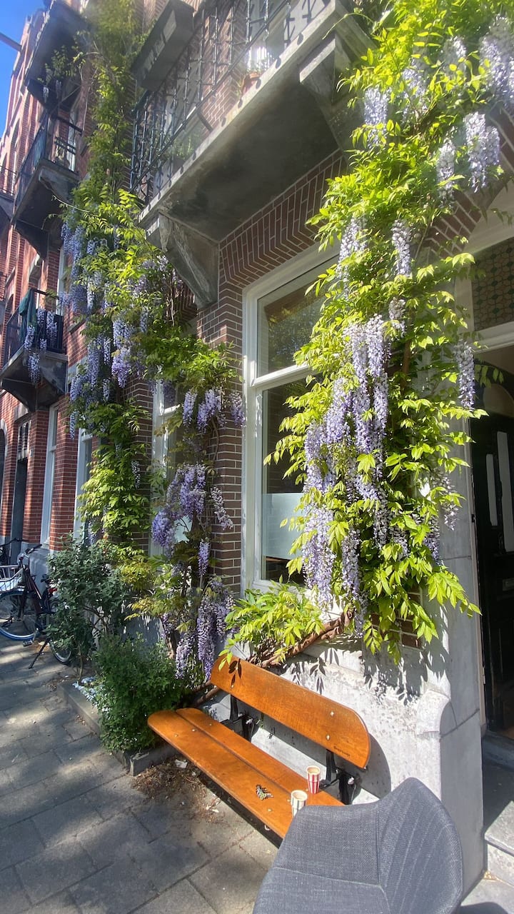 Gehele Woning Domselaerstraat, Inclusief Tuin - Amsterdam