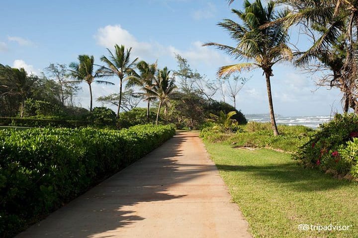 Kaha Lani - 5br Oceanfront - Sleeps 10 - Kauai, HI