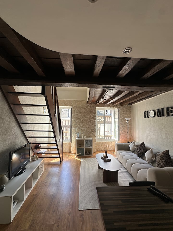 Charmant Appartement En Hypercentre Sur La Loire. - Orléans