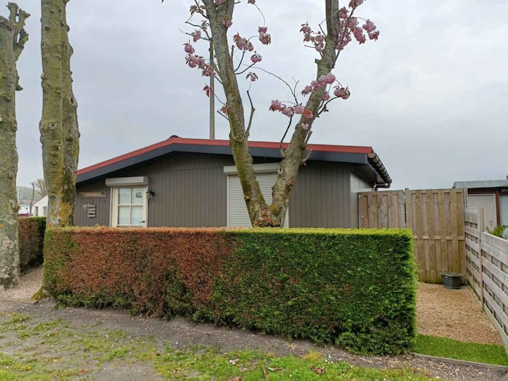 Vakantiepark Klein Strand - Luxe Houten Chalet - Brügge