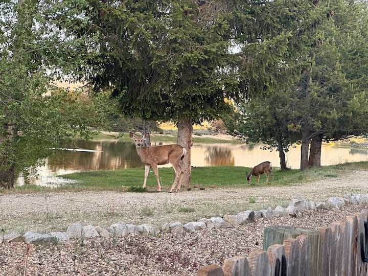 Water’s Riverfront Property! New Listing! 2 Houses - Lake Cascade State Park, Cascade