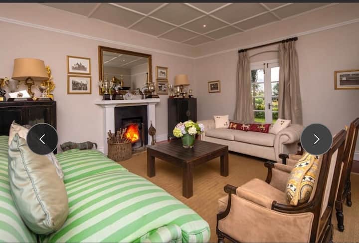 Luxury Lakeview Villa With Fireplace & Lawn - 努沃勒埃利耶區