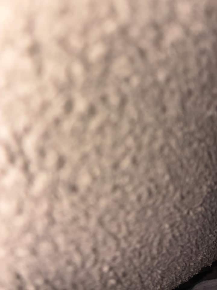 Wonderful Widow - Wesley Chapel, FL