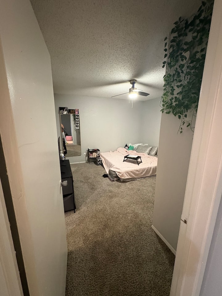 Nasa Apartment - League City, TX