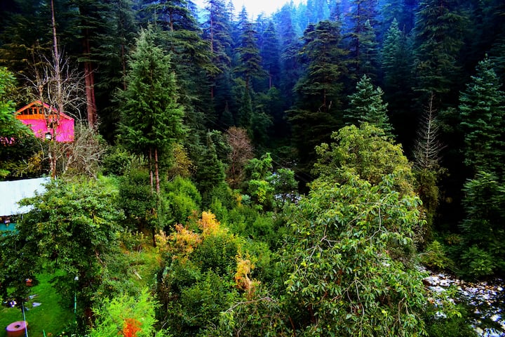 Riverside Cabin| Waterfall, Market & Kulhi Katandi - Jibhi