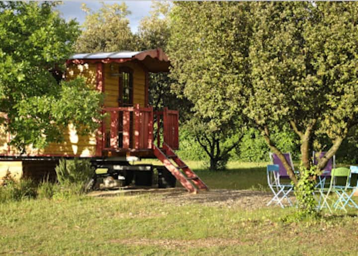 Roulotte Au Cœur D'un Domaine Oléicole - Pernes-les-Fontaines
