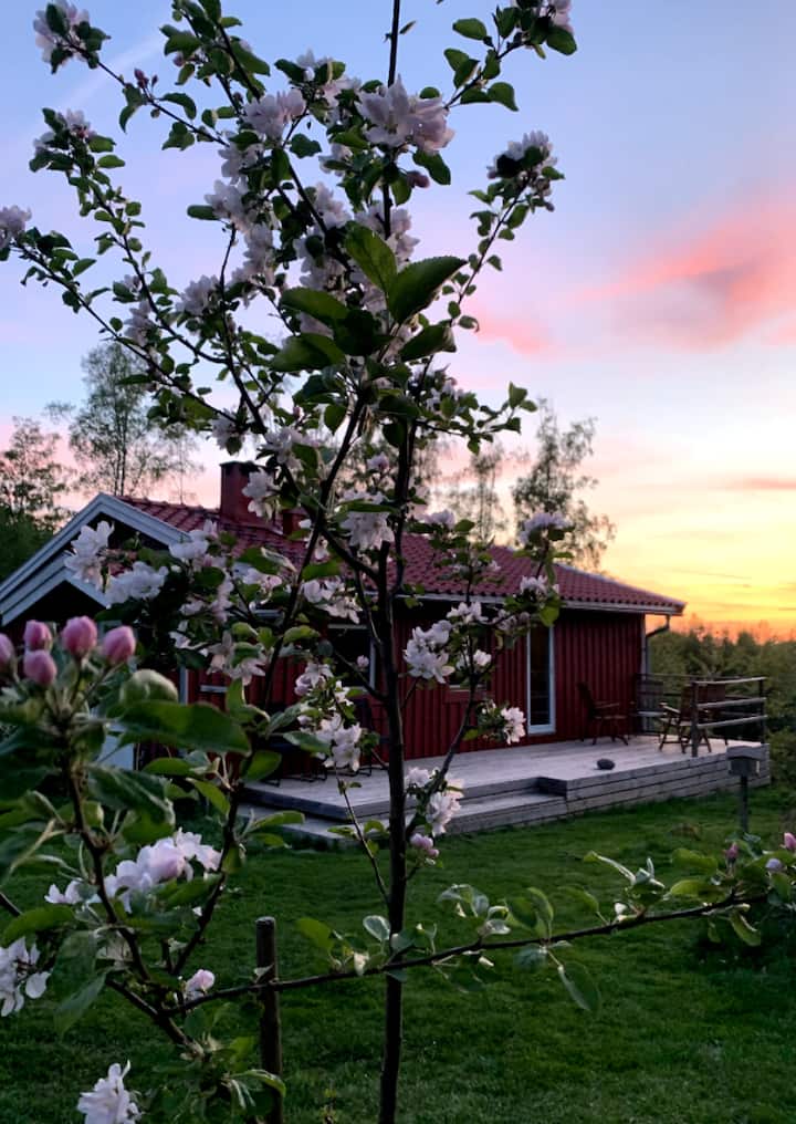 Töllås Semesterstuga - Henan