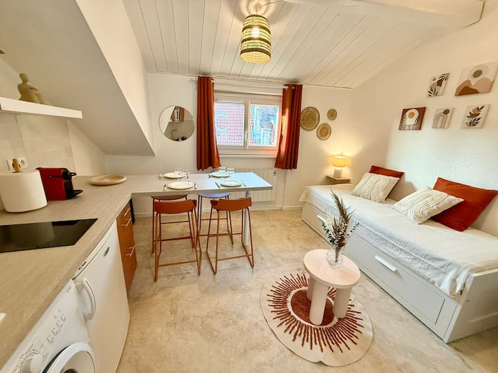 Magnifique Appartement Centre-ville - Thonon-les-Bains