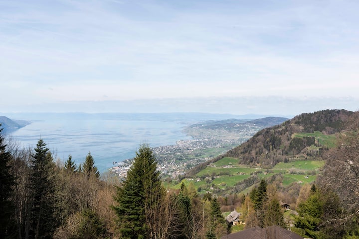Chalet Cosy Sur Les Hauteurs De Montreux - Montreux
