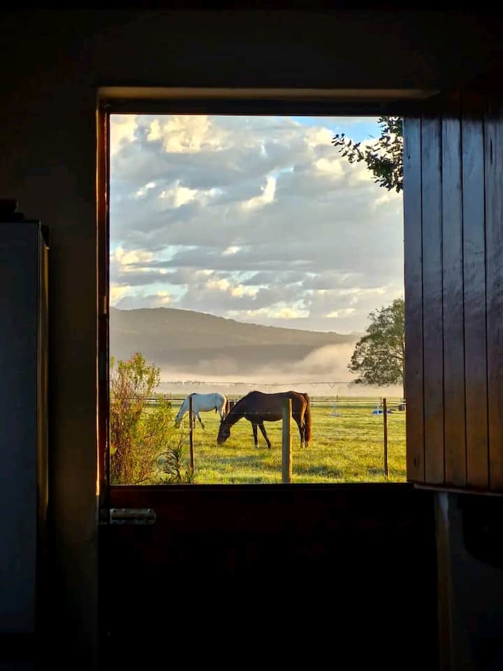 Equestrian Farm Stay - Outride And Picnic Avai - Rheenendal