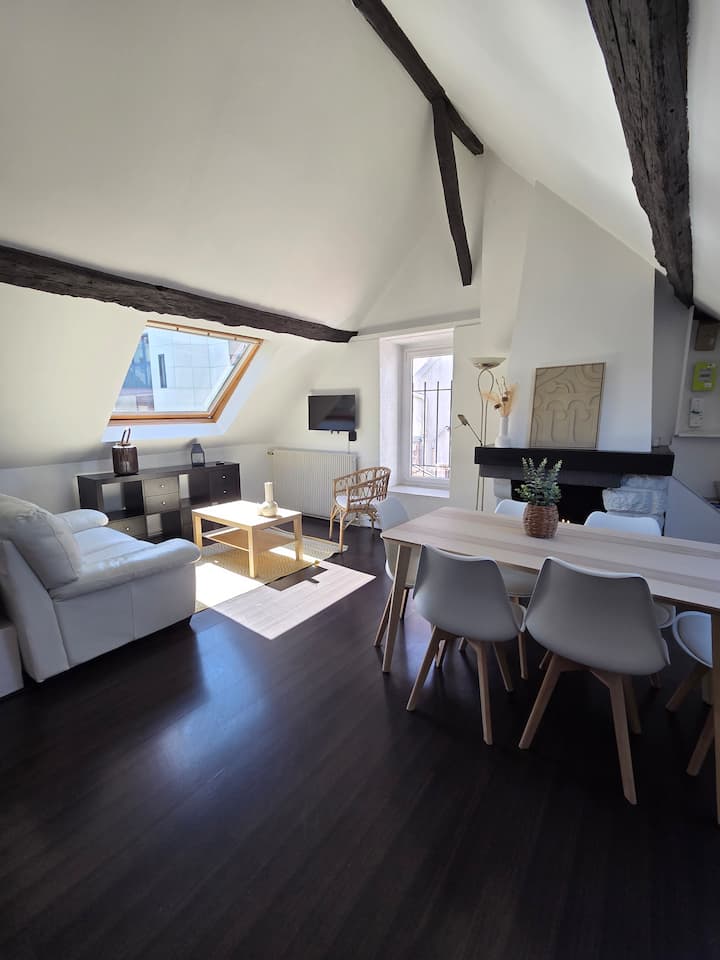City Loft Plein Centre Ville - Antony