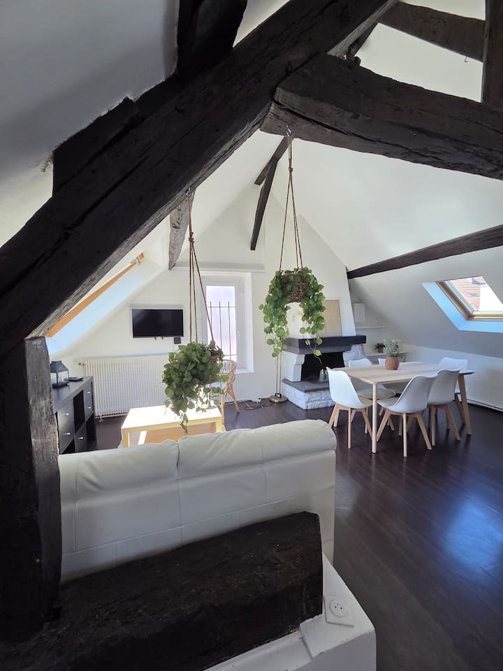 City Loft Plein Centre Ville - Antony