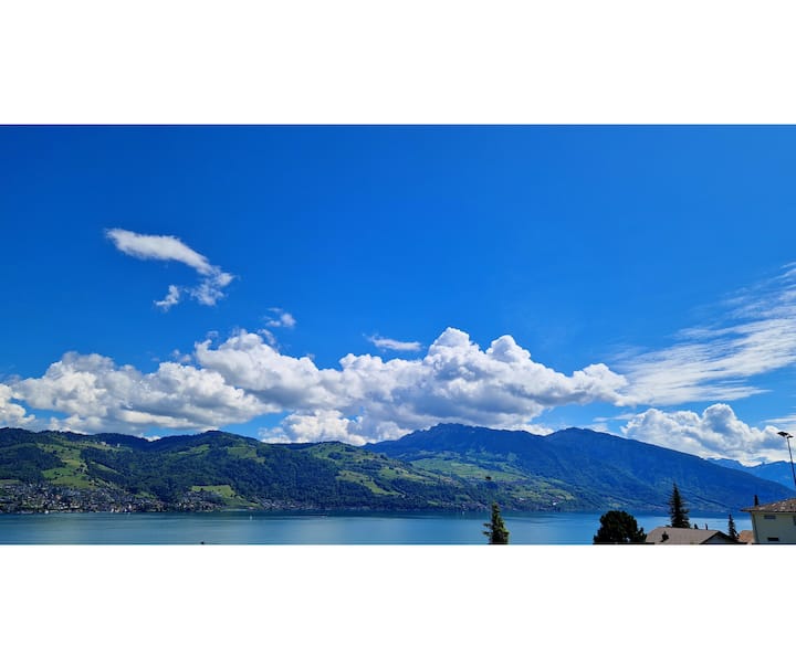 180° Lake View - Thun