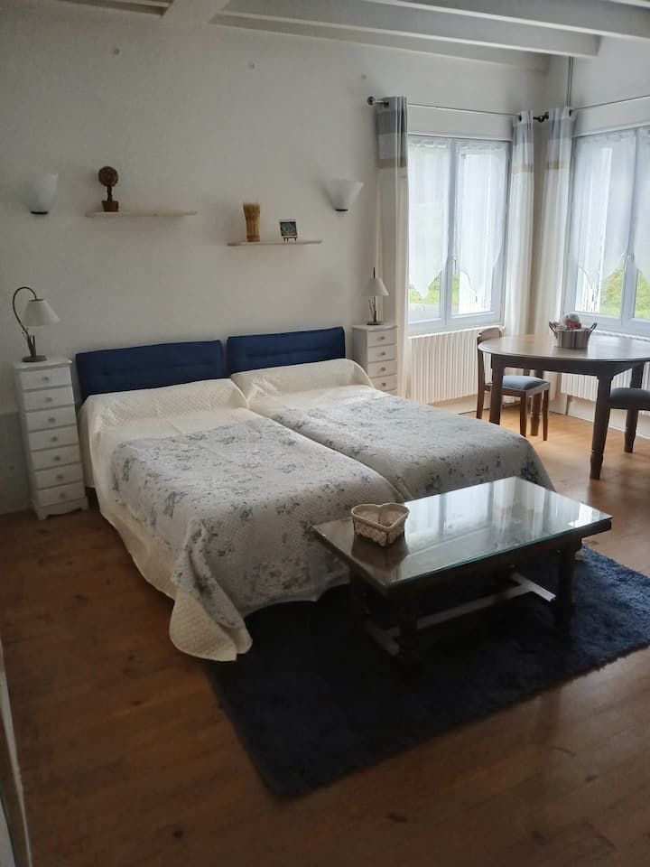Chambre Bleue - Aubeterre-sur-Dronne