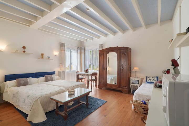Chambre Bleue - Aubeterre-sur-Dronne