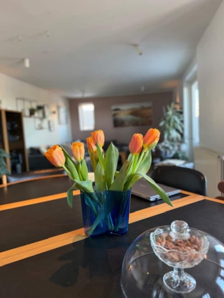 Bright & Spacious Apartment In Kópavogur - Islandia