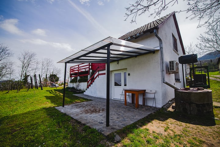 Véndiófás - Old-walnut - Szigliget