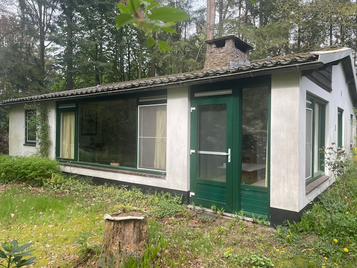 Familiehuis Julius - Laren