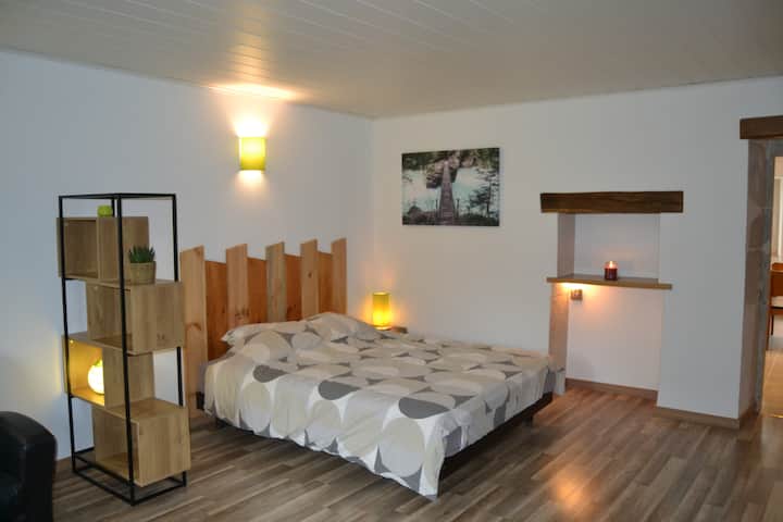Appartement Cosy Au Cœur De La Région Des Lacs - Clairvaux-les-Lacs