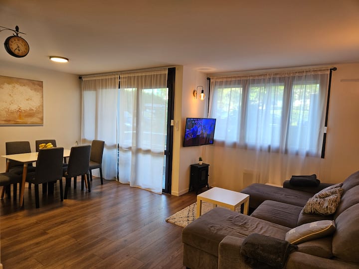 Jolie Appartement Proche Frontière - Saint-Julien-en-Genevois