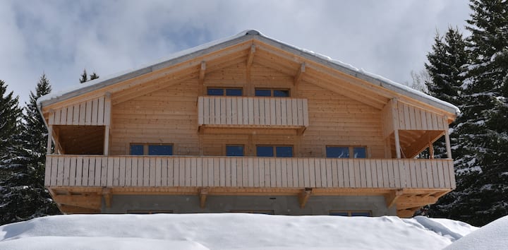 Appartement De 90 M2, Dans Chalet Neuf - Les Diablerets