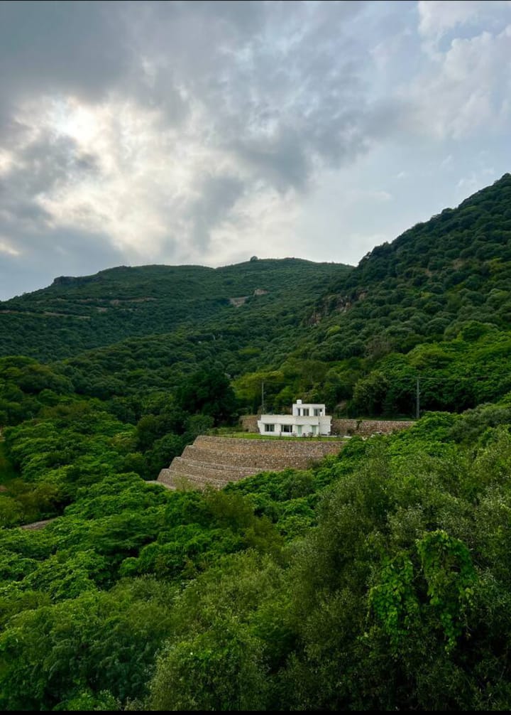 Bogan Villa | Modern 2br Villa | Entire Place | - Islamabad