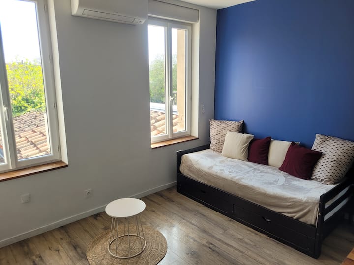 Charmant Studio Climatisé Proche Centre - Albi