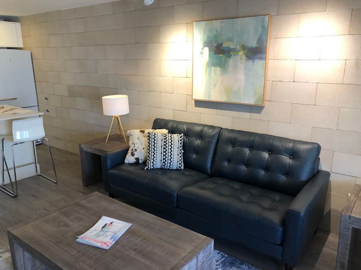 Two Bedroom Condo Near Pearl St - Boulder, CO