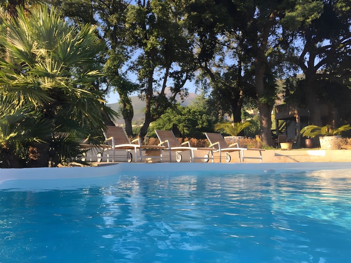 La Terrasse - Saint-Florent