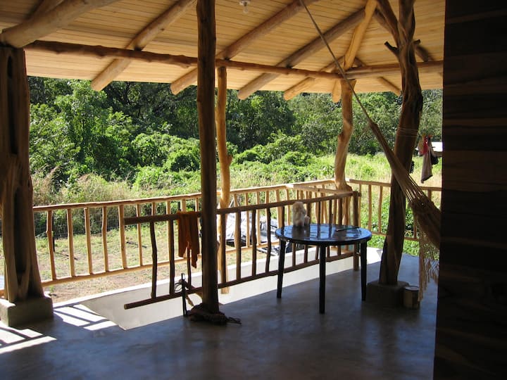 Next To The Jungle, Close To The Beach! - Nosara