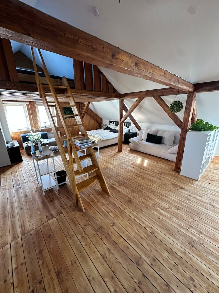 Gemütliche Dachgeschosswohnung Hauptbahnhof/stadt - Nuremberg