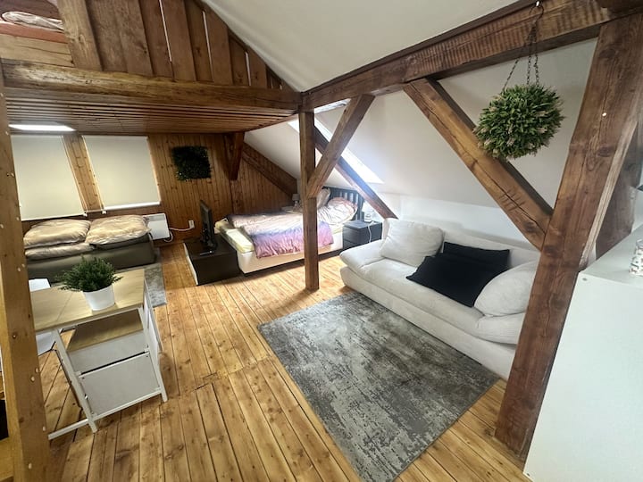 Gemütliche Dachgeschosswohnung Hauptbahnhof/stadt - Nuremberg