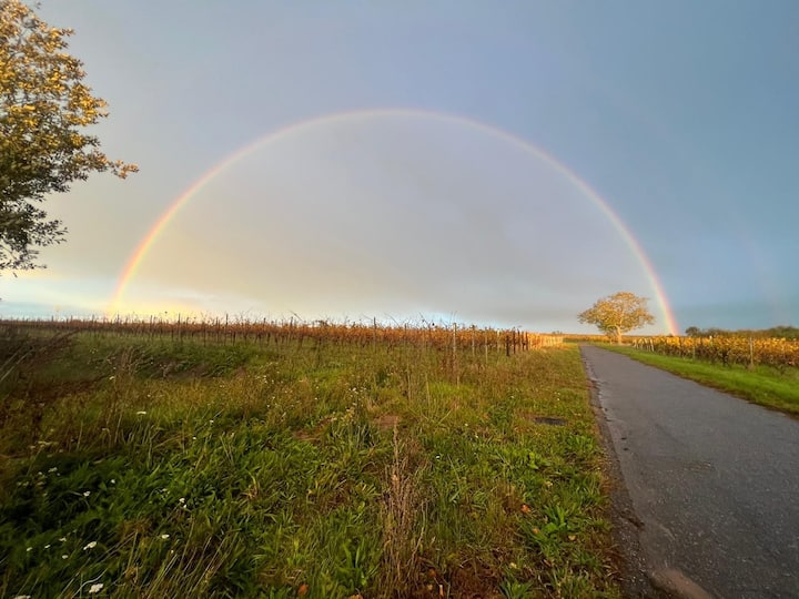 Rebella - Annweiler am Trifels