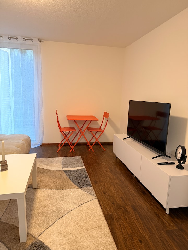 Große Wohnung Mit Direktem Zugang Zum Garten - Dornbirn