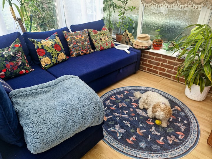 Quirky Home 
Safe Parking, Dogs Welcome. - New Milton