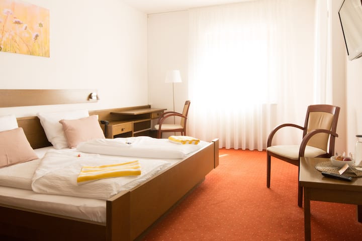 Stanza Doppia Classica 1 - Merano