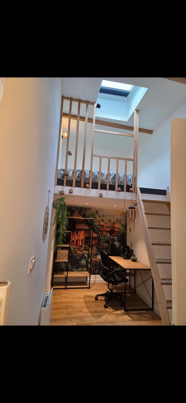 Chambre Avec Salle De Bain Privée En Centre-ville - Angers