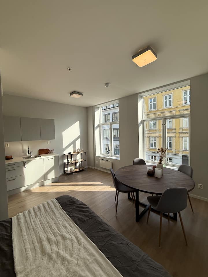 Sentral Og Moderne Hybelleilighet - Oslo