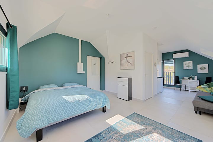 Studio Lumineux Face Au Lac • Parking Gratuit - Chevreuse