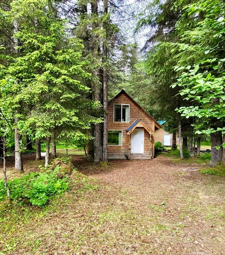 Midnight Sun Cabin - Seward, AK